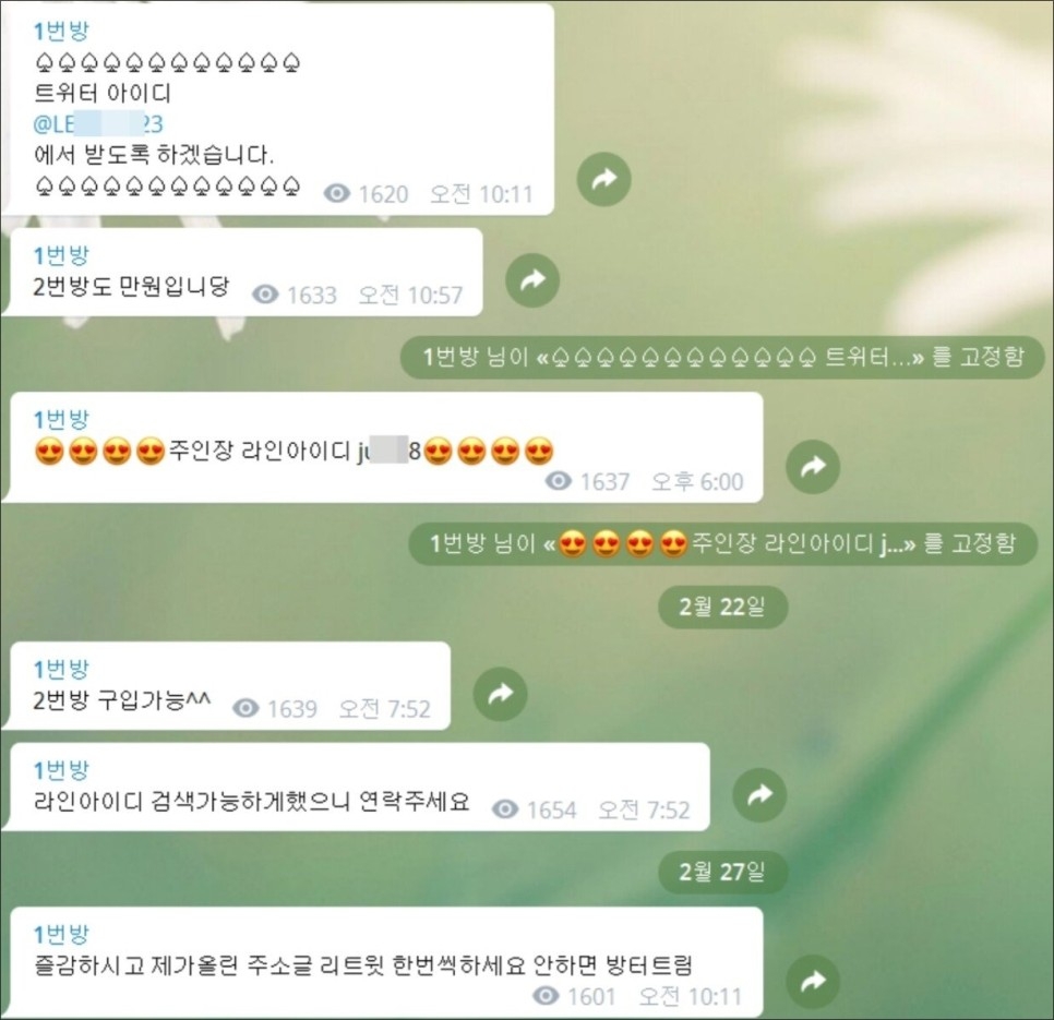 텔레그램 N번방 국민청원 26만명 돌파 대체 무슨 일