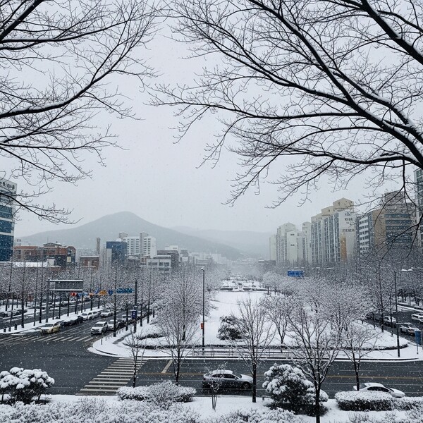 [전국 내일~글피 날씨] 내일 전국 비·눈…중부 내륙 많은 눈, 강풍·풍랑 주의