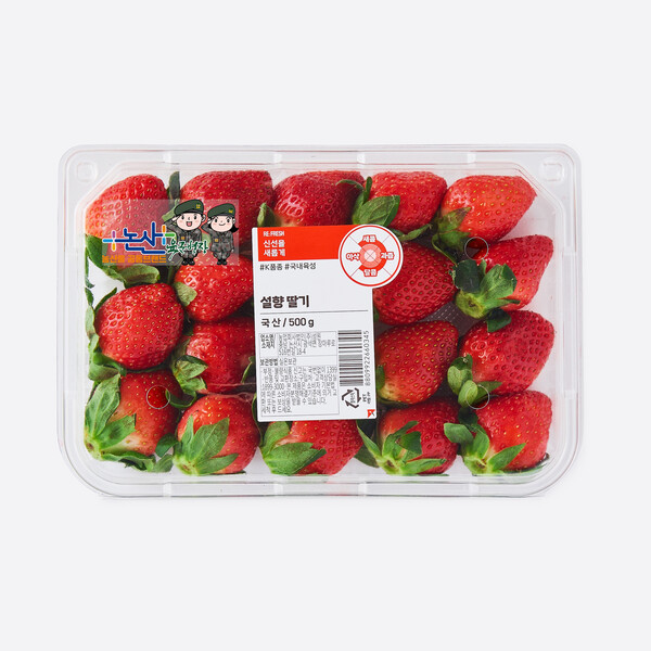 롯데마트, 지역 캐릭터 담은 '전국 딸기 대전' 운영